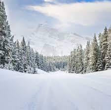 Winter Themed Pattern Grab Bag! $100+ value... – Down Sunshine Lane